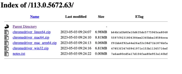 How To Install Chrome Driver Executable File In Selenium With Python Example Jc Chouinard